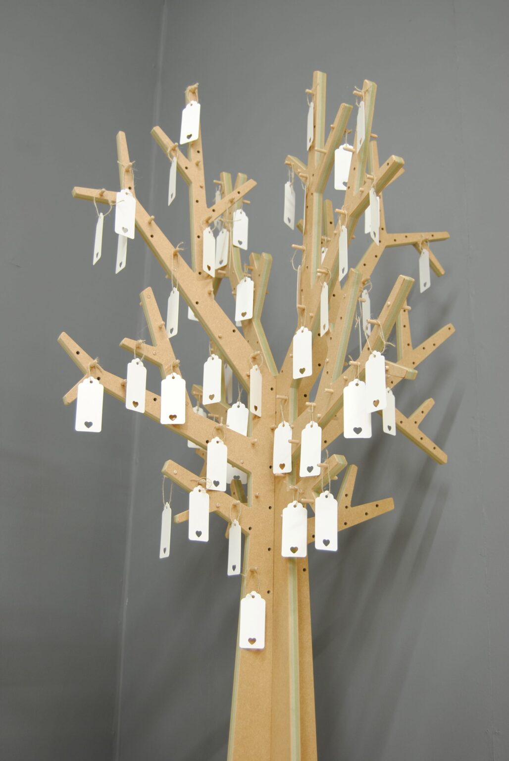 School Wish Tree Interactive Message Church Icon And Co Wales